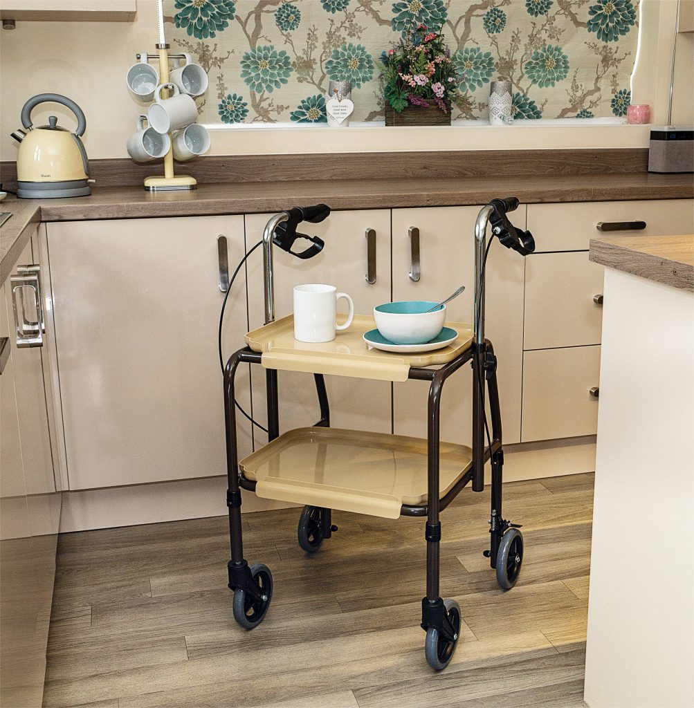 Top Indoor Trolley for Elderly with Brakes | Mobility Aid-Bio Lec ...